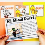 1st Grade Lesson Plans For Reading Comprehension - Missing Tooth Grins