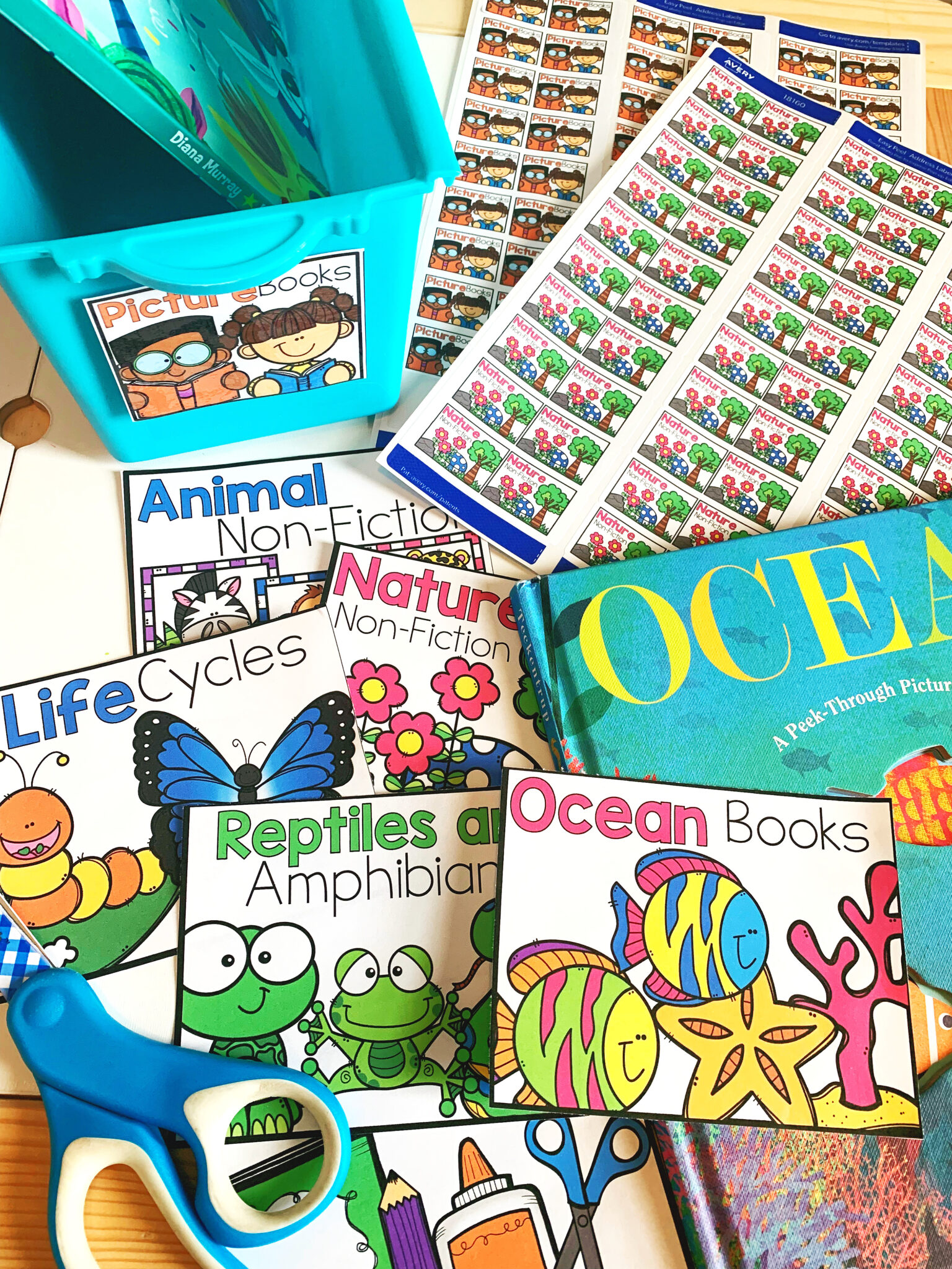 Tips For How To Organize Your Classroom Library - Missing Tooth Grins