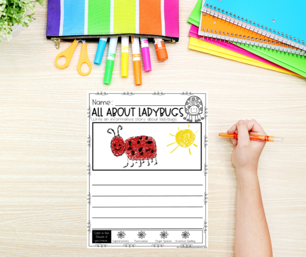What Should Be in a First Grade Writing Center? - Missing Tooth Grins